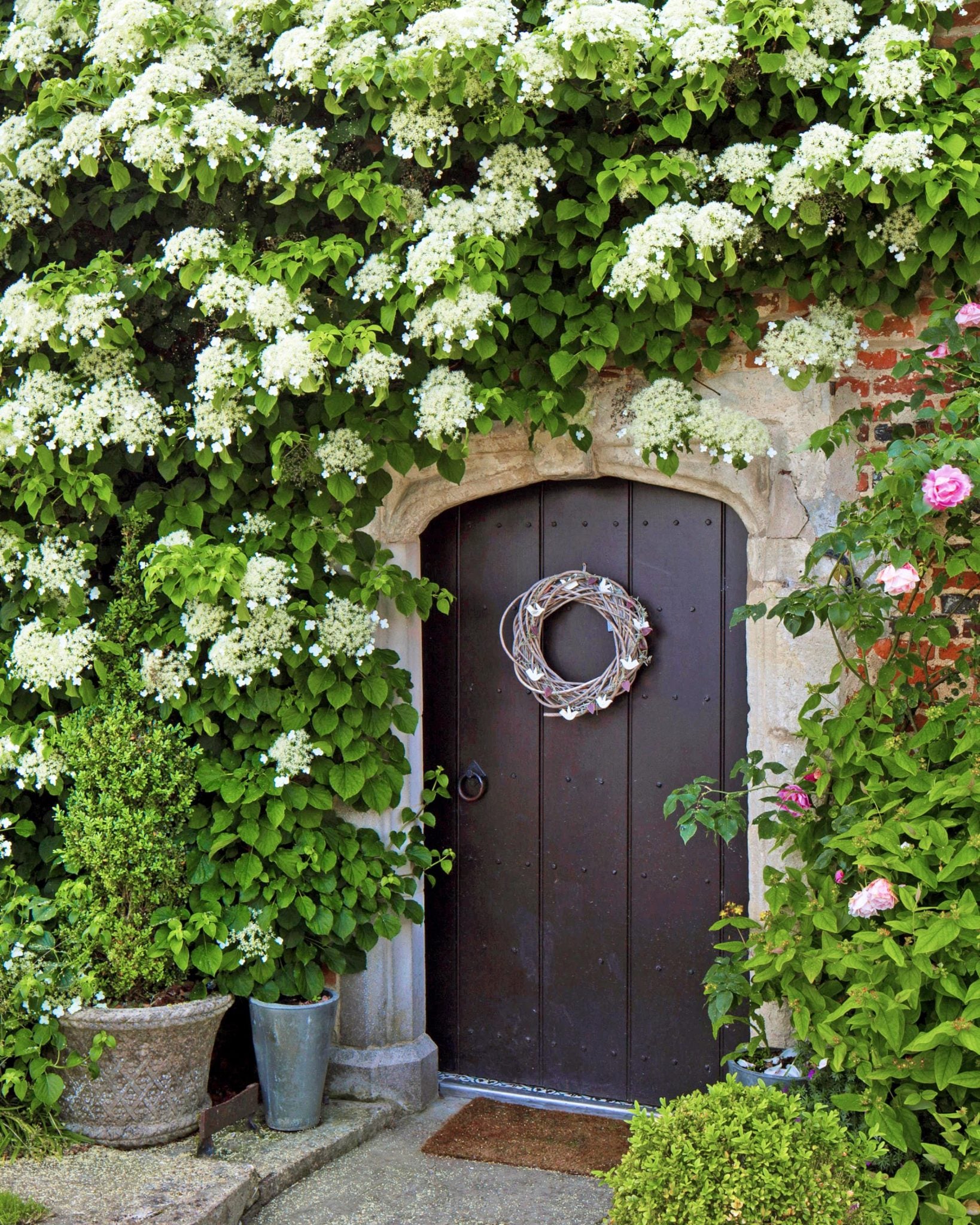 Growing Cordon (Columnar) Fruit Trees: A Step-by-Step Guide - The Arches