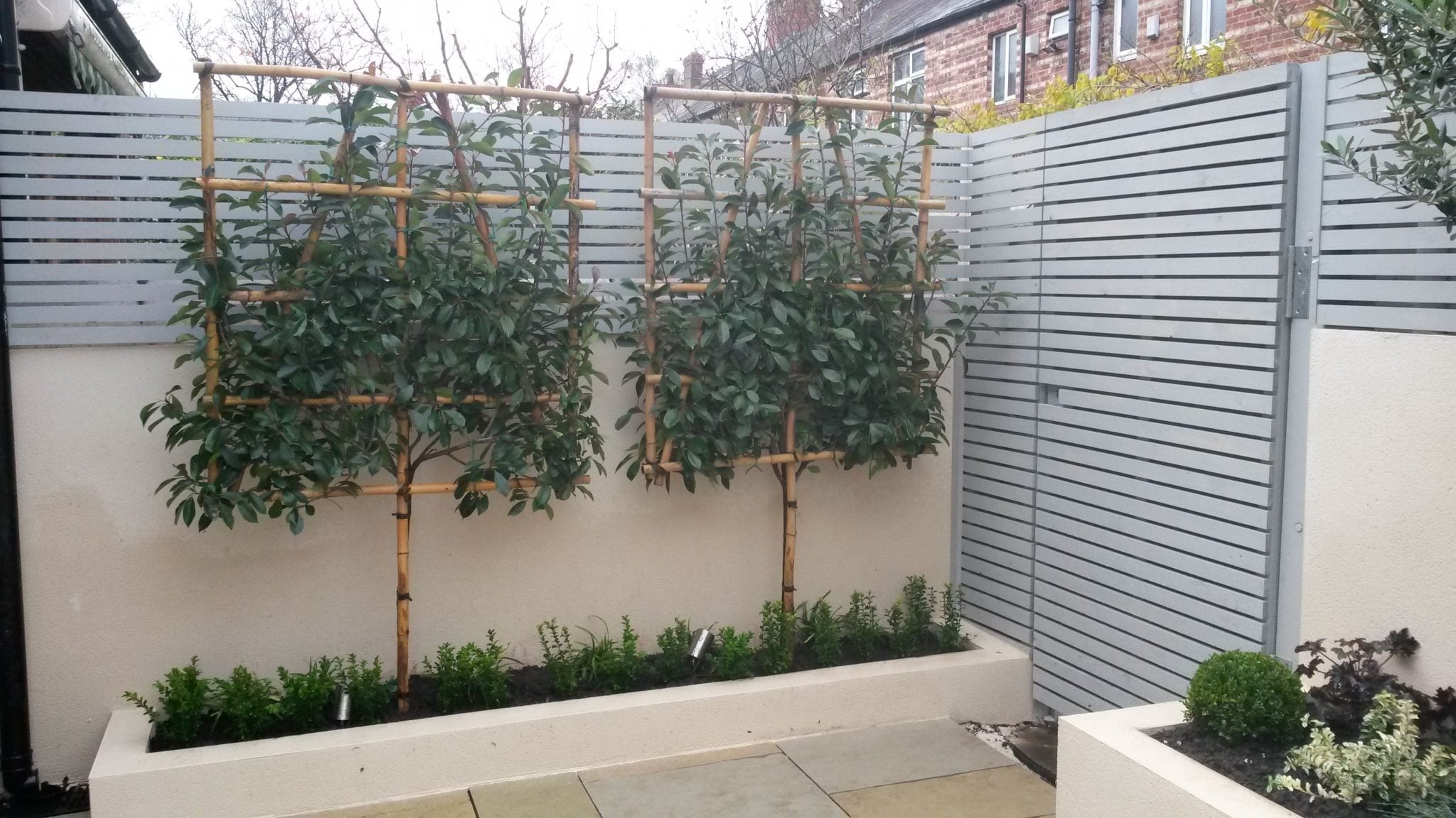 What Goes with Red Robin Plant? - The Arches