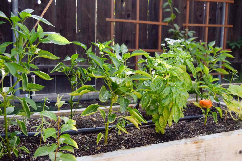 How to Compost for a Vegetable Garden - The Arches