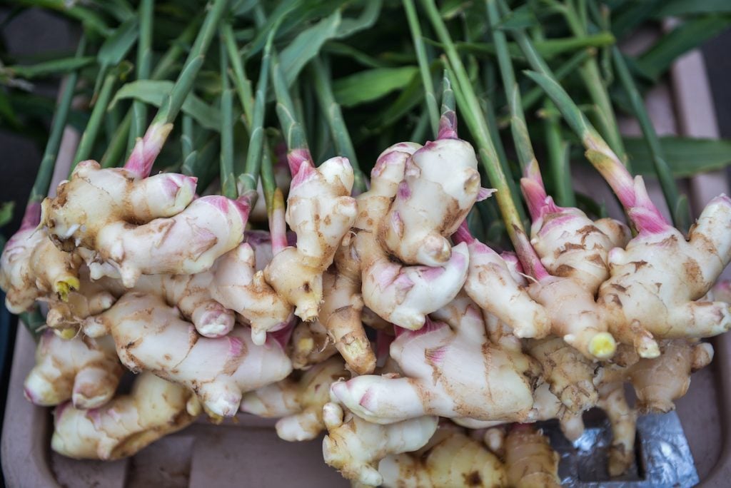 How Long Does It Take Ginger to Grow? A Detailed Guide - The Arches