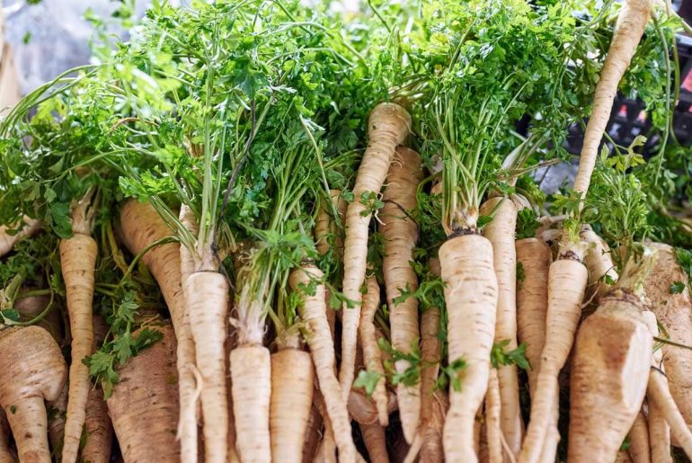 A Detailed Guide on How to Grow Parsnips in Your Garden - The Arches