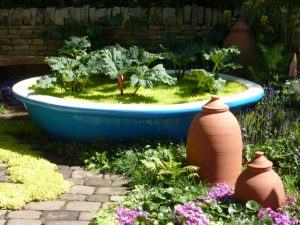 Easy Steps to Growing Rhubarb in Pots & Containers - The Arches