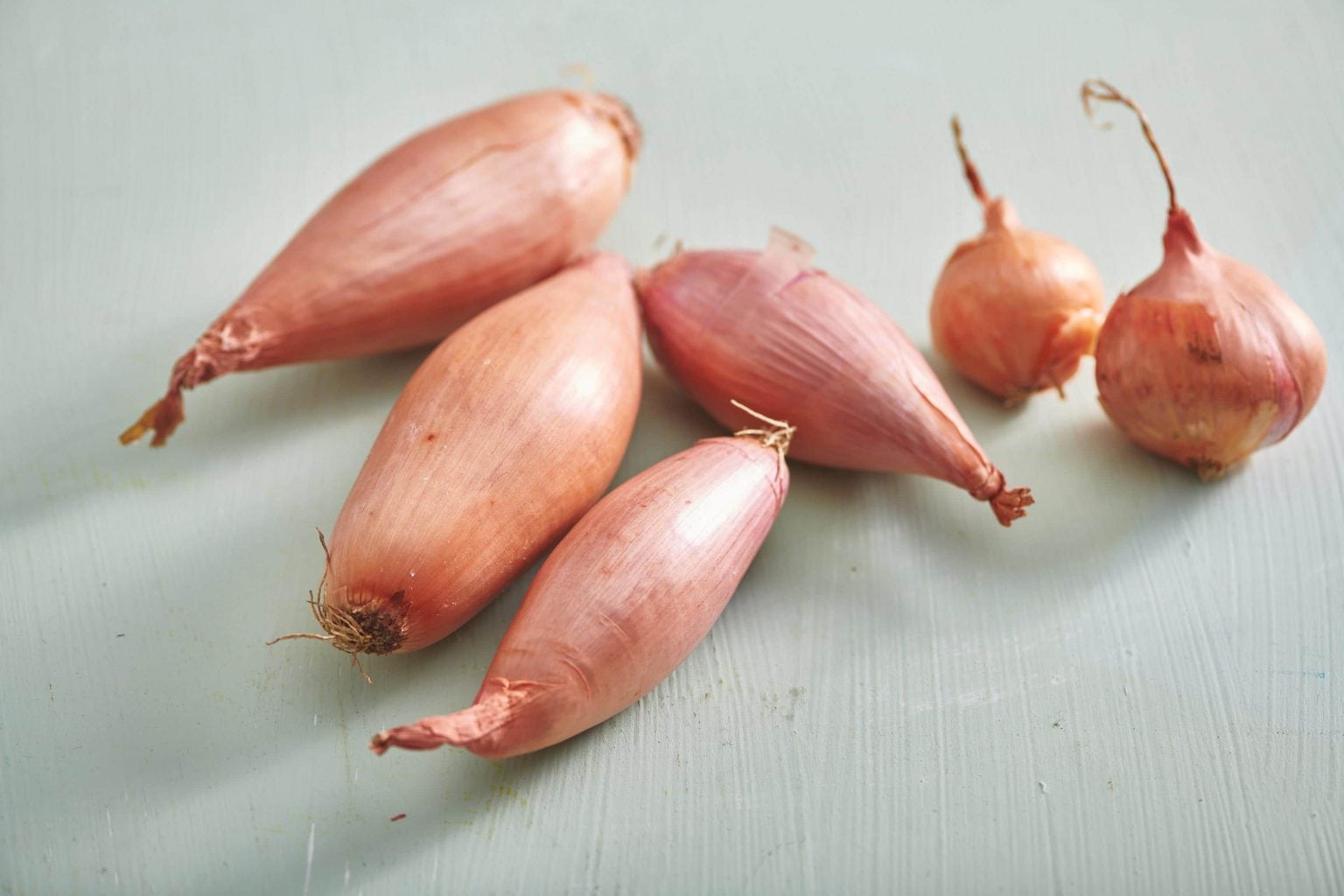 Grow your Own Shallots with these Simple Steps! - The Arches