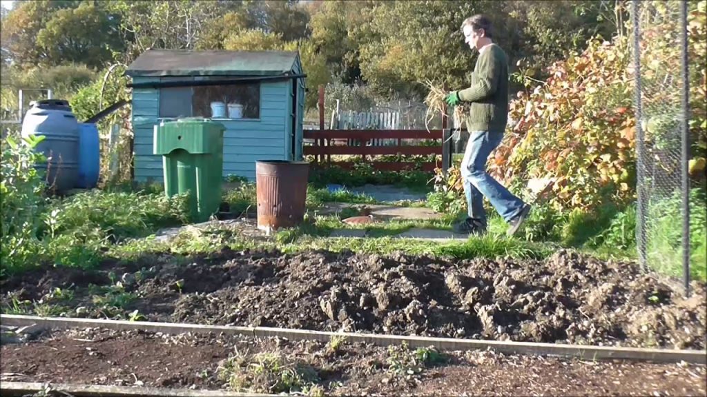8 Easy Steps to Starting an Allotment Garden for Beginners - TheArches