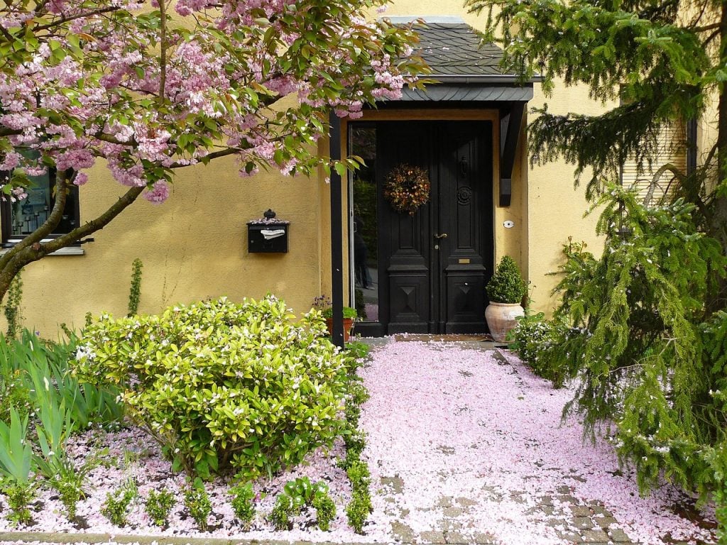20 Plants Best for Creating a Stunning Front Door Entrance - The Arches
