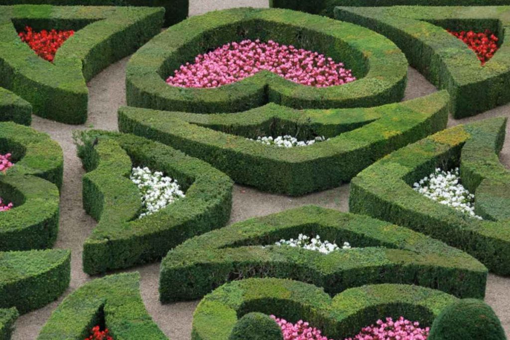Types Of Garden Hedges Uk at Judith Hatfield blog Types Of Garden Hedges Uk at Judith Hatfield blog